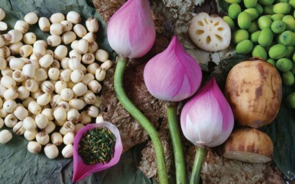 Top 10+ Lotus Seeds Benefits and Their Uses - AK FOOD