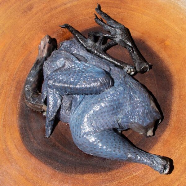 Black chicken meat - A nutritional powerhouse