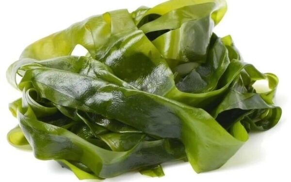 Can Babies Eat Seaweed? What Parents Need to Know About Its Safety